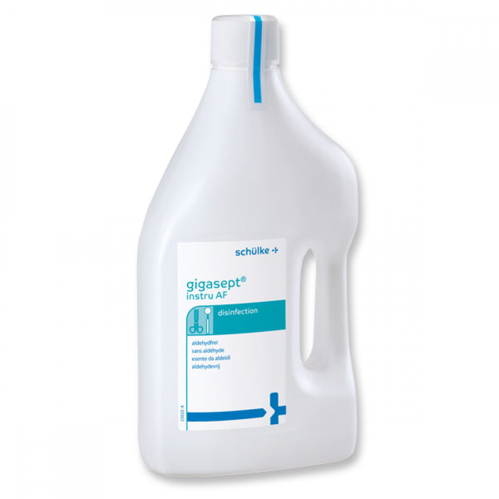 CleanCos Beauty - Gigasept Instru AF 2 L